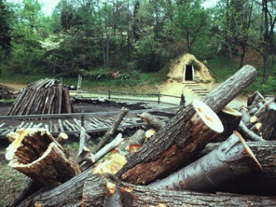 TU APORTE ES NECESARIO ACTÚA, ¡ES EL MOMENTO!: Tala inmoderada en méxico